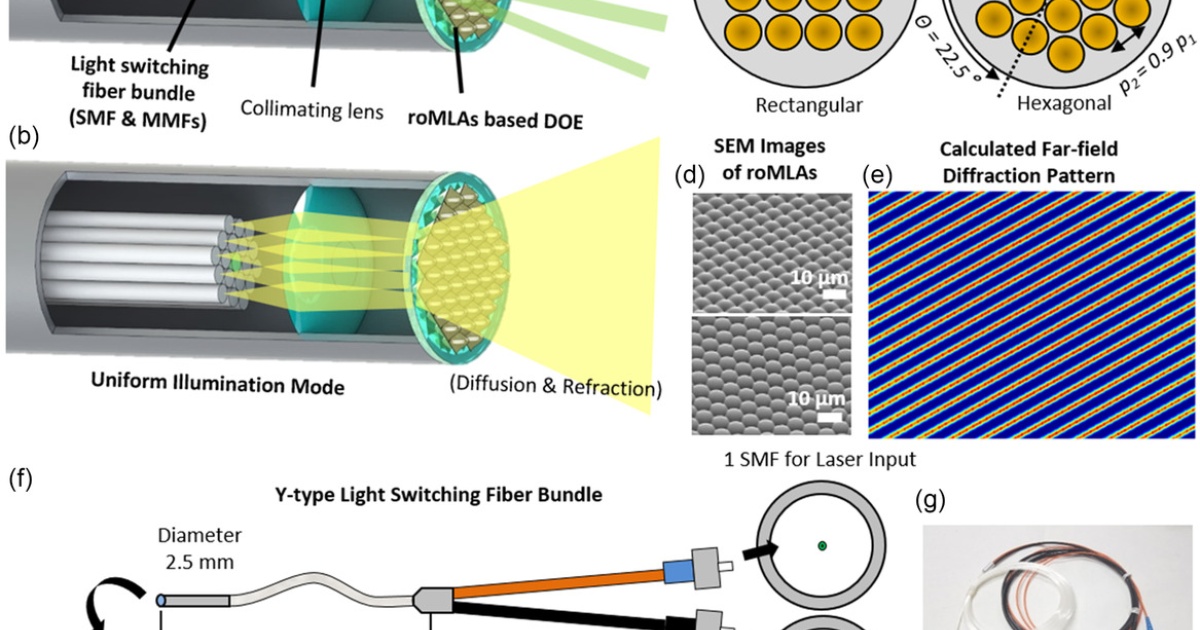 Light Switching Microprojector Allows Endoscopic In Vivo 3d Imaging Of Gastrointestinal 