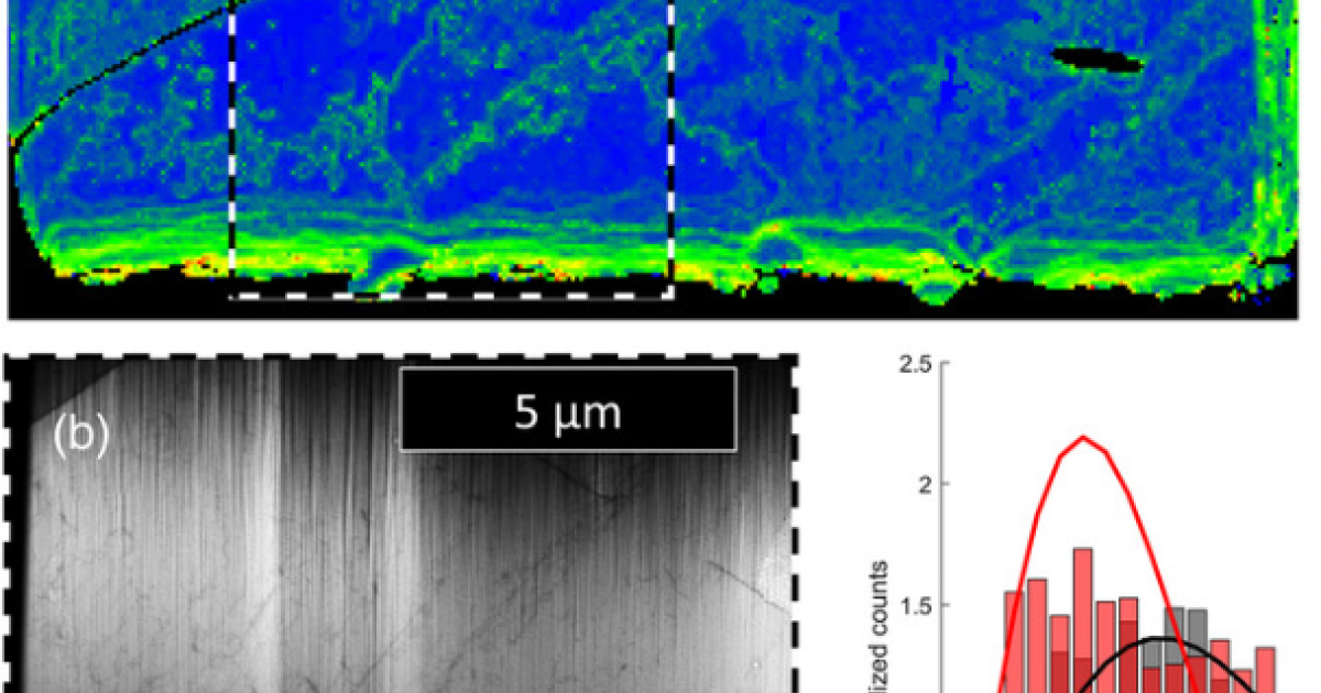 How Hydrogen Affects The Formation And Evolution Of Persistent Slip